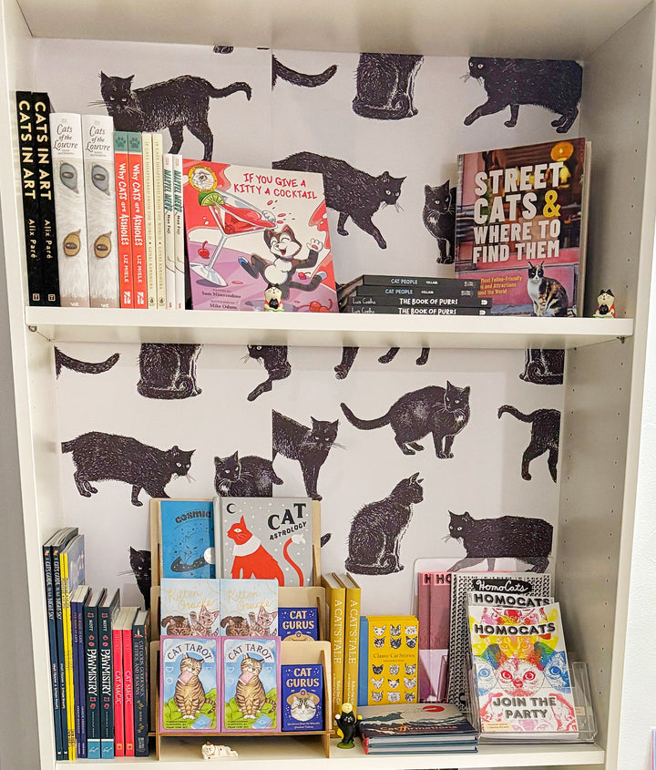 Notso Kitty : Accessories for Cats and Cat Lovers