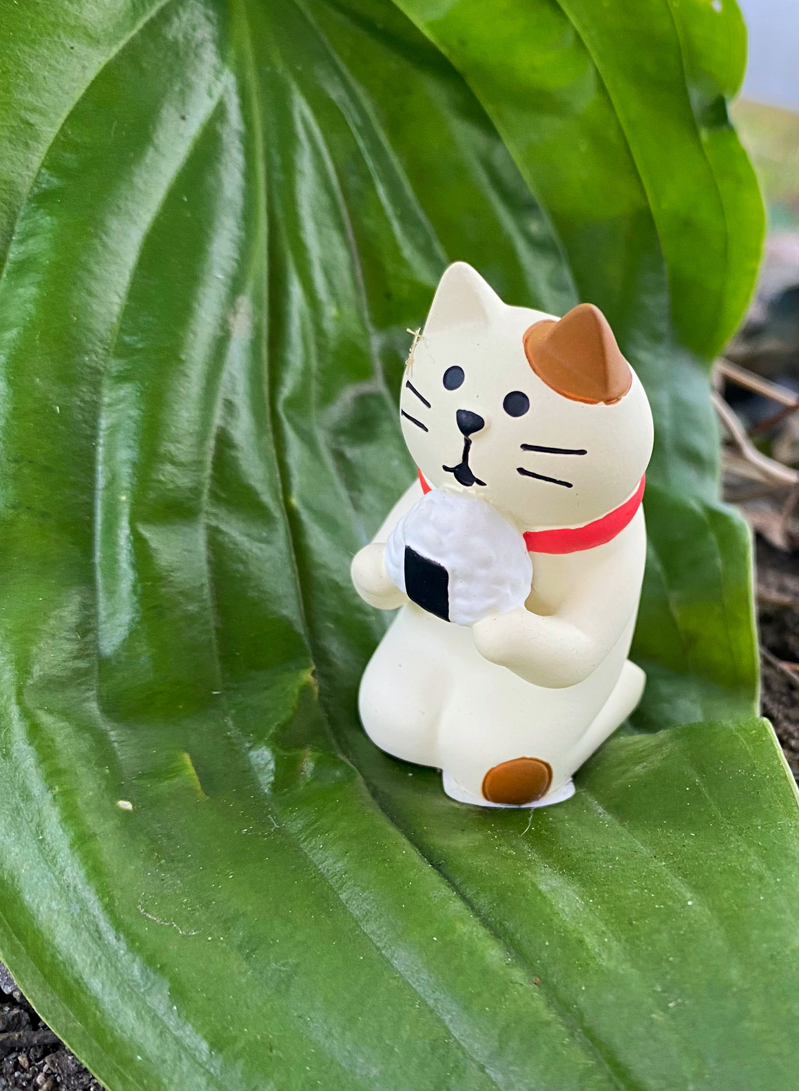 Notso Kitty : Accessories for Cats and Cat Lovers