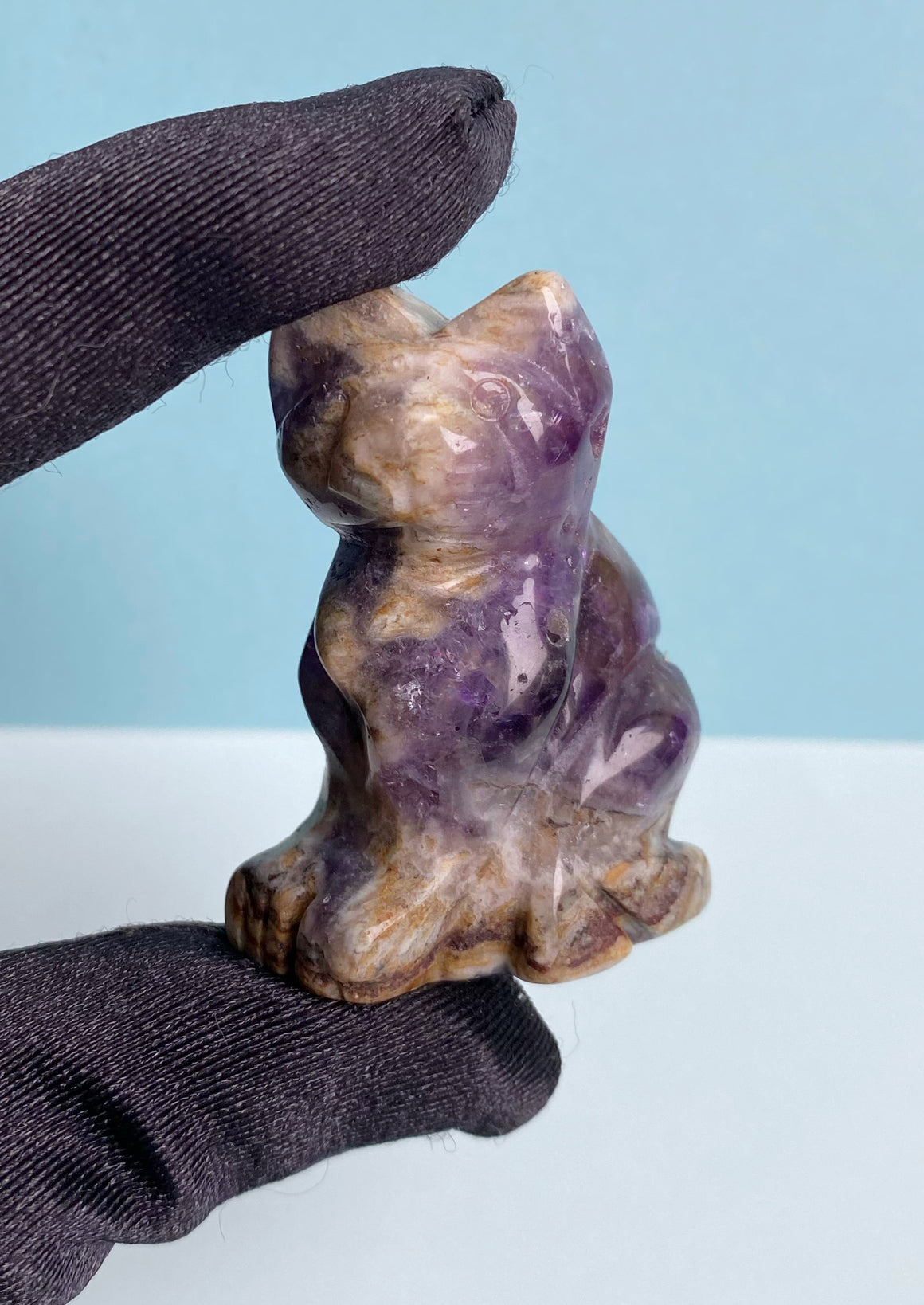 Notso Kitty : Accessories for Cats and Cat Lovers