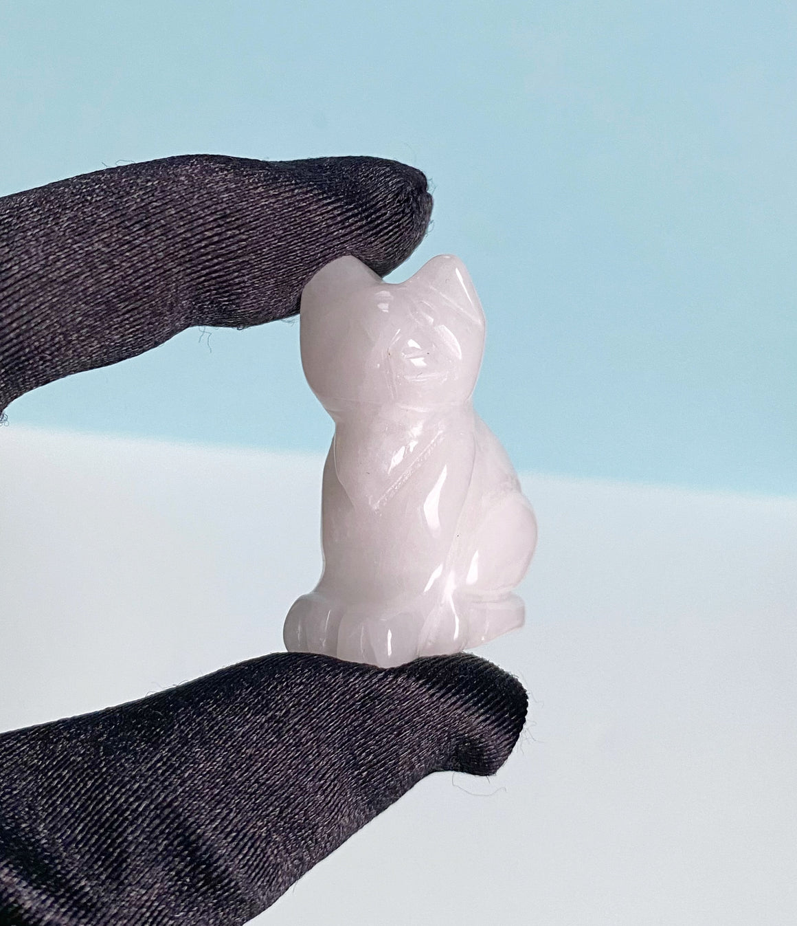 Notso Kitty : Accessories for Cats and Cat Lovers