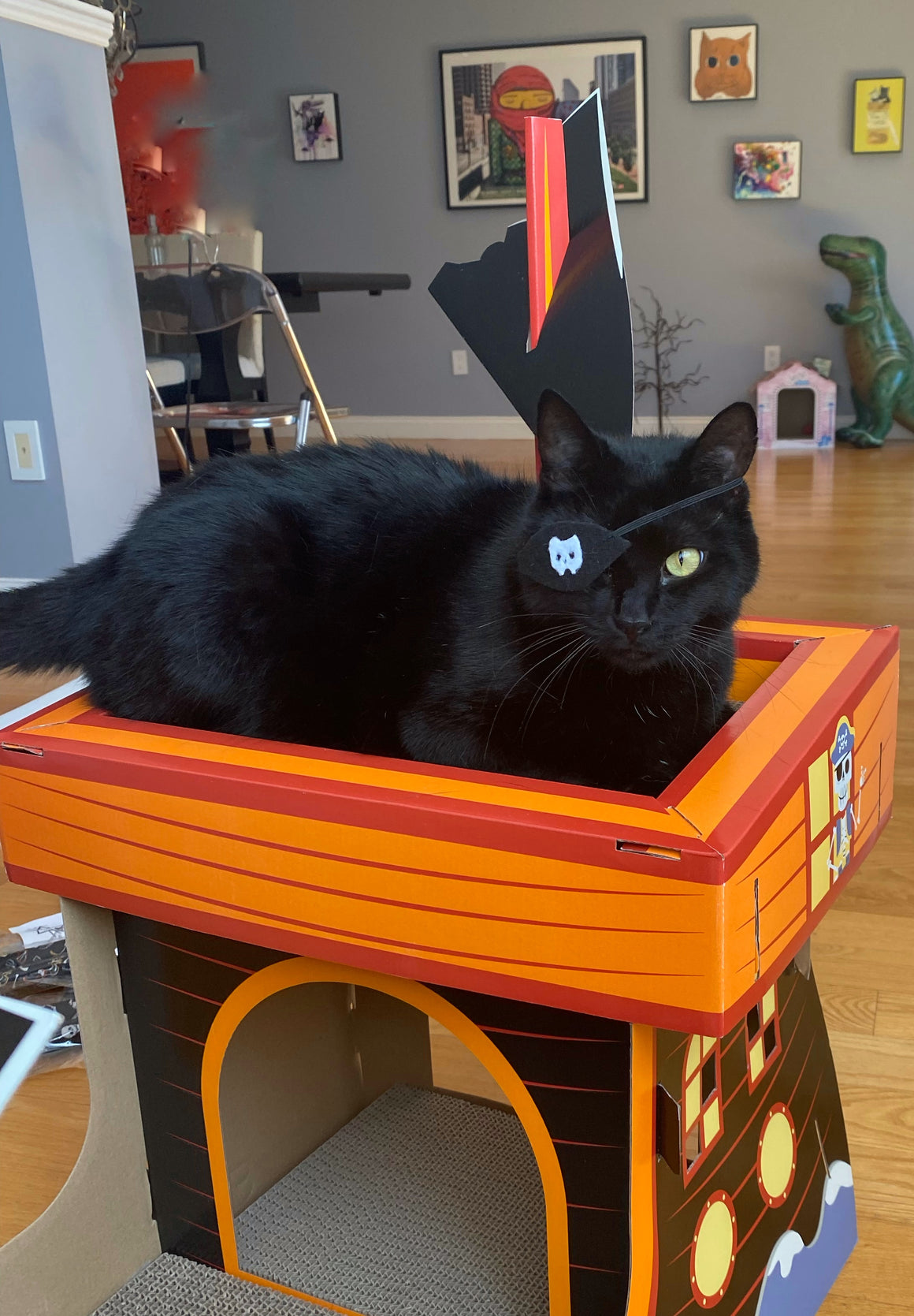 Notso Kitty : Accessories for Cats and Cat Lovers