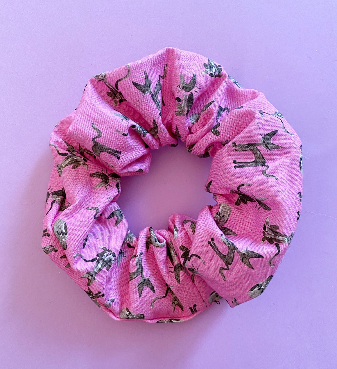 Notso Kitty : Accessories for Cats and Cat Lovers