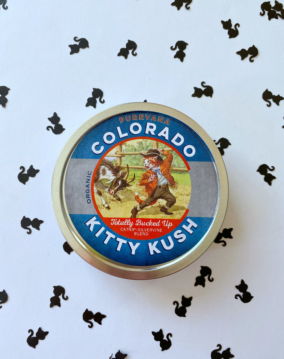 Notso Kitty : Accessories for Cats and Cat Lovers